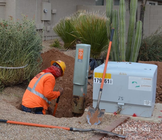 Utility Boxes : An Unexpected Big Hole... | azplantlady.com