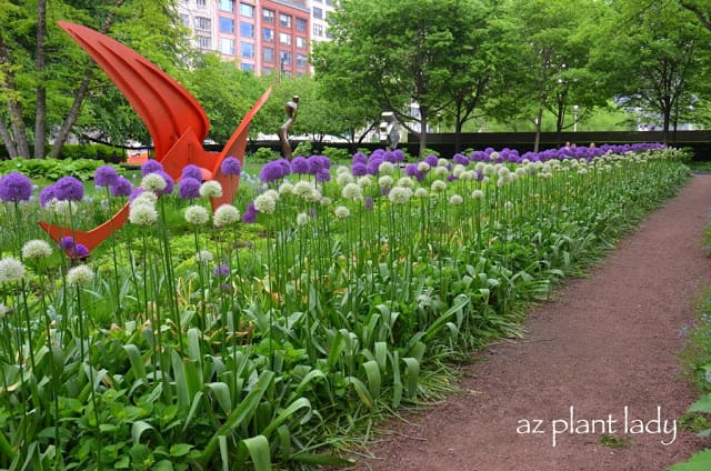 Green Spaces of Chicago, Illinois | azplantlady.com