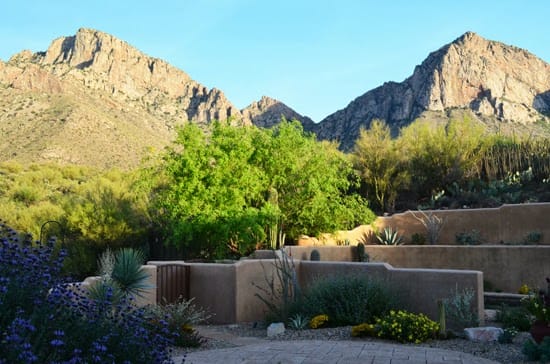 AZTU_Roper_2_web - Desert Gardening 101