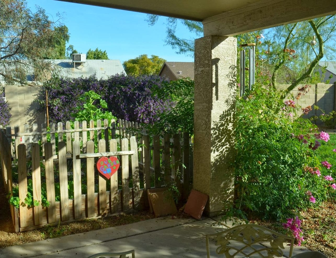 My Back Garden -A Peek Into My Back Garden | azplantlady.com