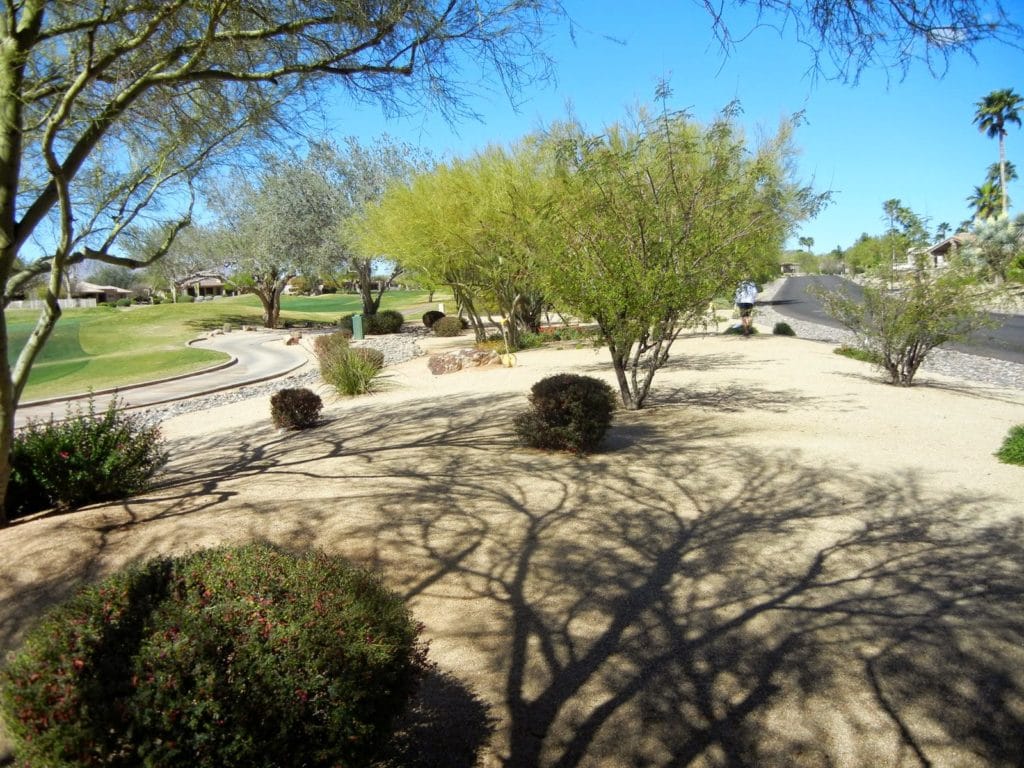 Sustainable Landscapes Tour of Southwestern : Part 2