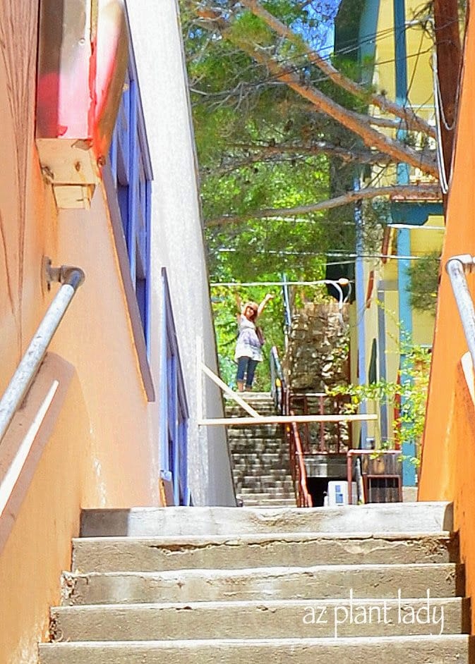Bisbee Arizona - The Great Stair Climb... | azplantlady.com