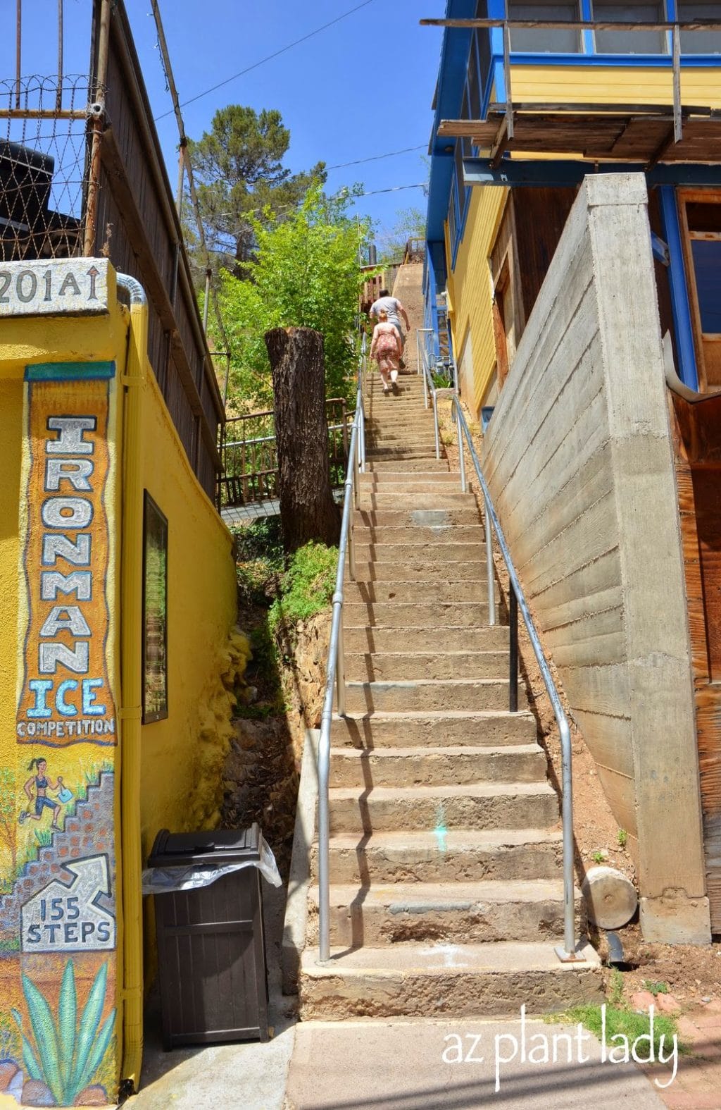 Bisbee Arizona - The Great Stair Climb... | azplantlady.com