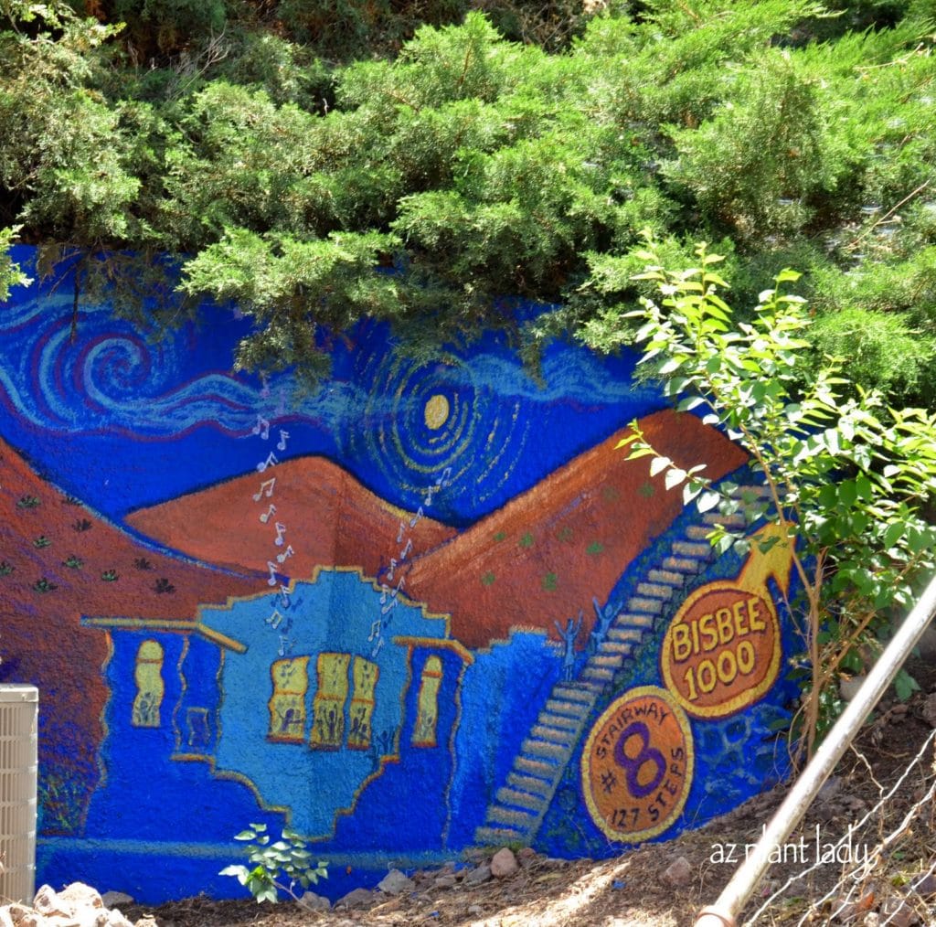 Bisbee Arizona - The Great Stair Climb... | azplantlady.com