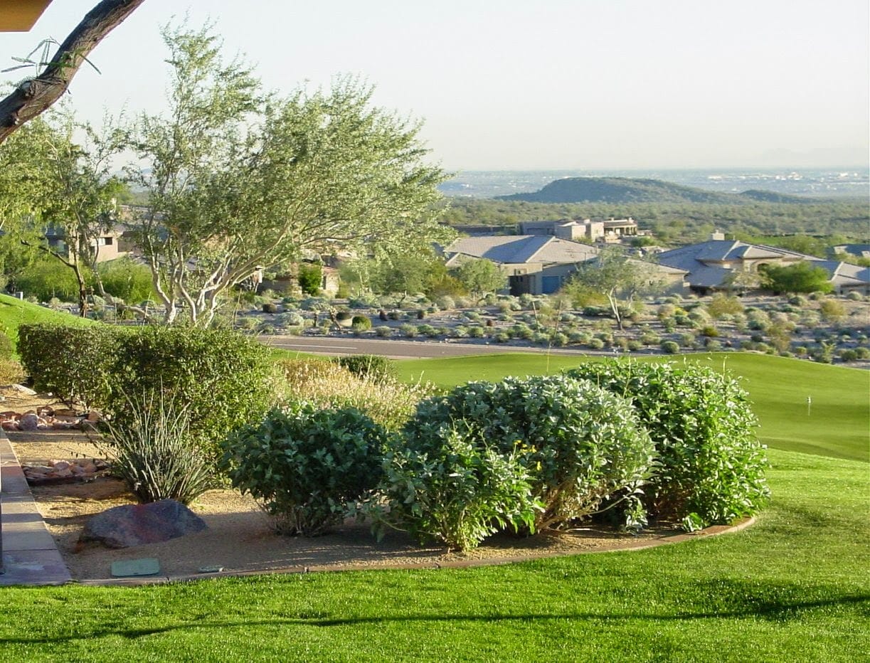 Golf Courses : From Grass to a 'Natural' Desert Landscape