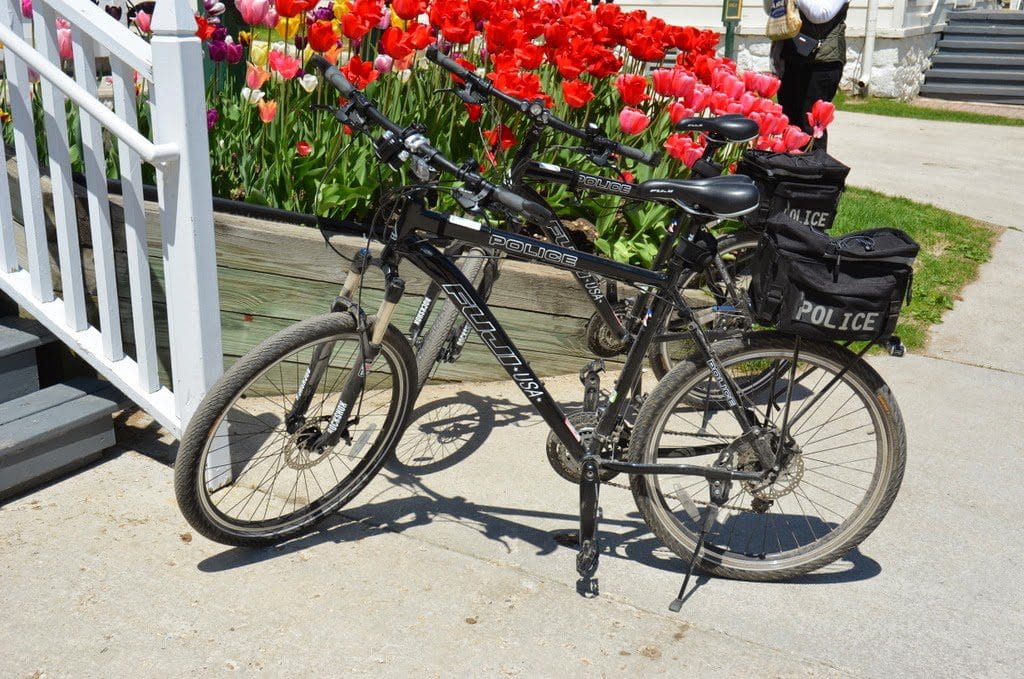 Mackinac Island, Fudge, Horses and Bikes | azplantlady.com