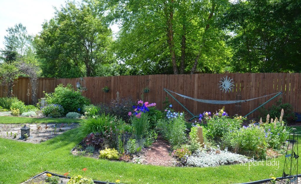 Midwestern Garden of Amy, Get Busy Gardening | azplantlady.com