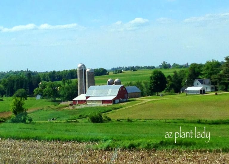 Wisconsin-Countryside-Farm - Desert Gardening 101