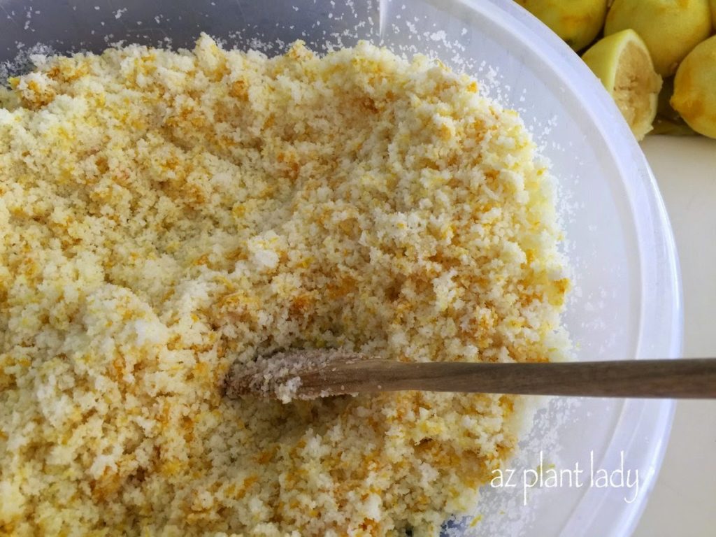 Lemon Salt ? Make Your Own DIY Citrus Salt | azplantlady.com