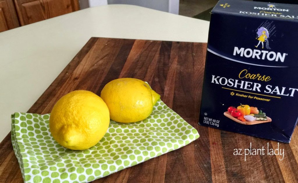 Lemon Salt ? Make Your Own DIY Citrus Salt | azplantlady.com