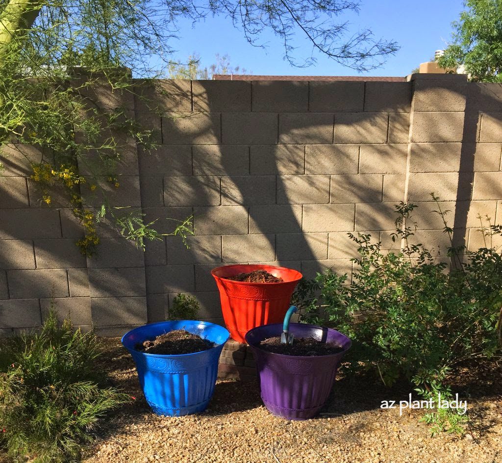 Attracting Hummingbirds : Creating a Hummingbird Container Garden