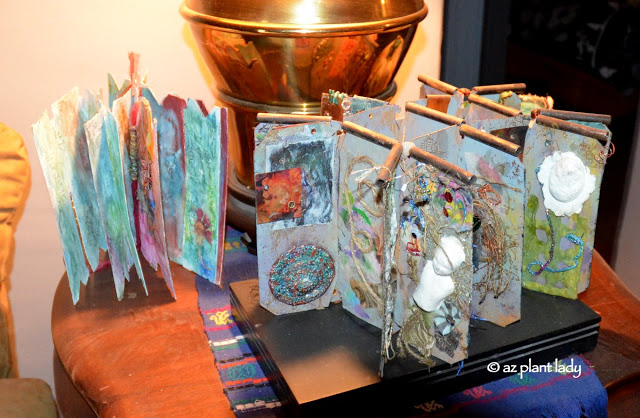 Landscape Design Archives - Desert Gardening 101