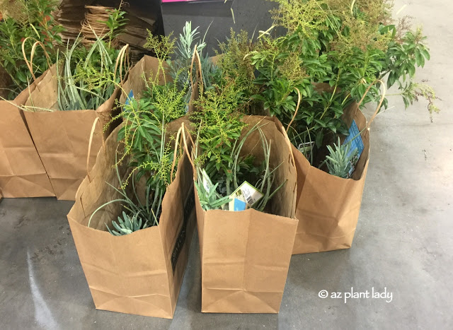 New Inventions For Your Garden | azplantlady.com