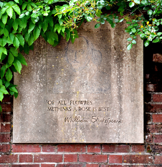 Love Affair With Roses: Looking Forward and Back