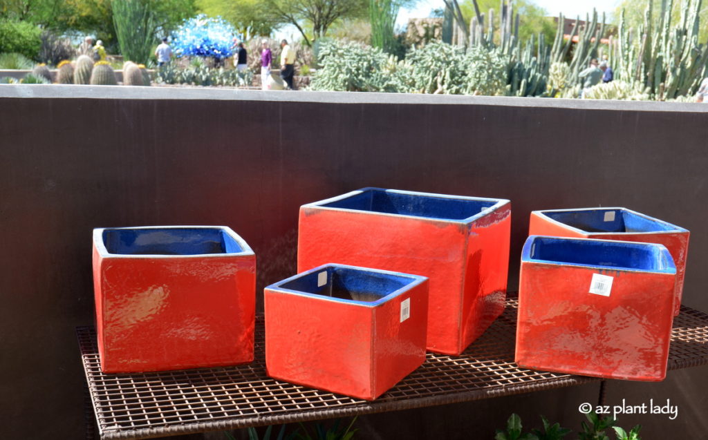 Colorful Containers : How to add a splash of color to your garden