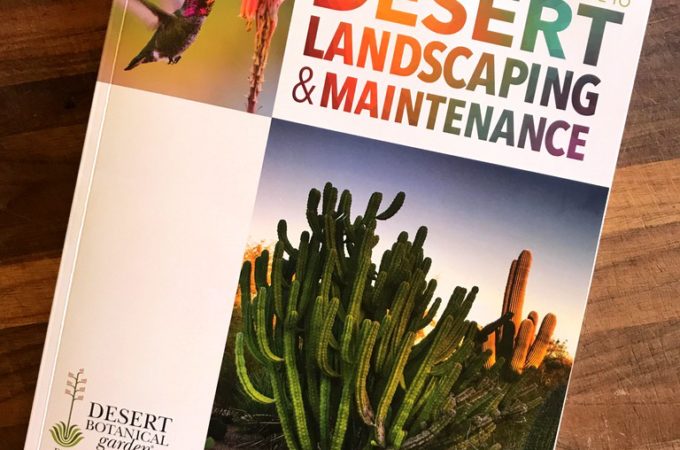 Desert Landscape School A Guide to Desert Landscaping and Maintenance ...
