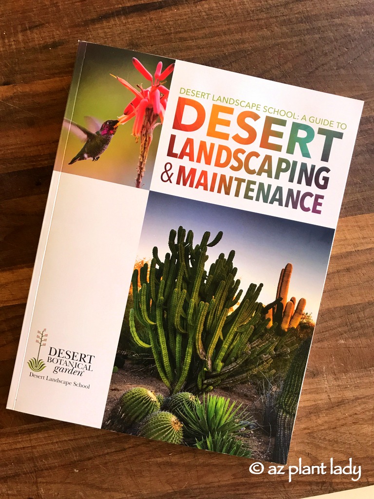 Desert Landscaping and Maintenance | azplantlady.com