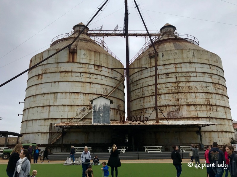 Green Spaces of the Magnolia Silos | azplantlady.com