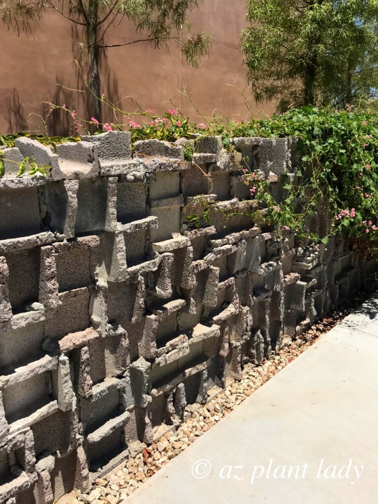 Garden Wall Made from Broken Masonry Blocks | azplantlady.com