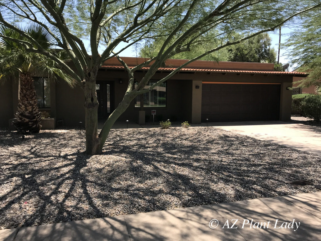 Design Notes landscape From the Field: A New Build, Metal Art, Weeds