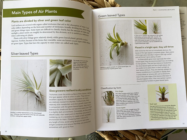 Living With Air Plants: Book Review | azplantlady.com